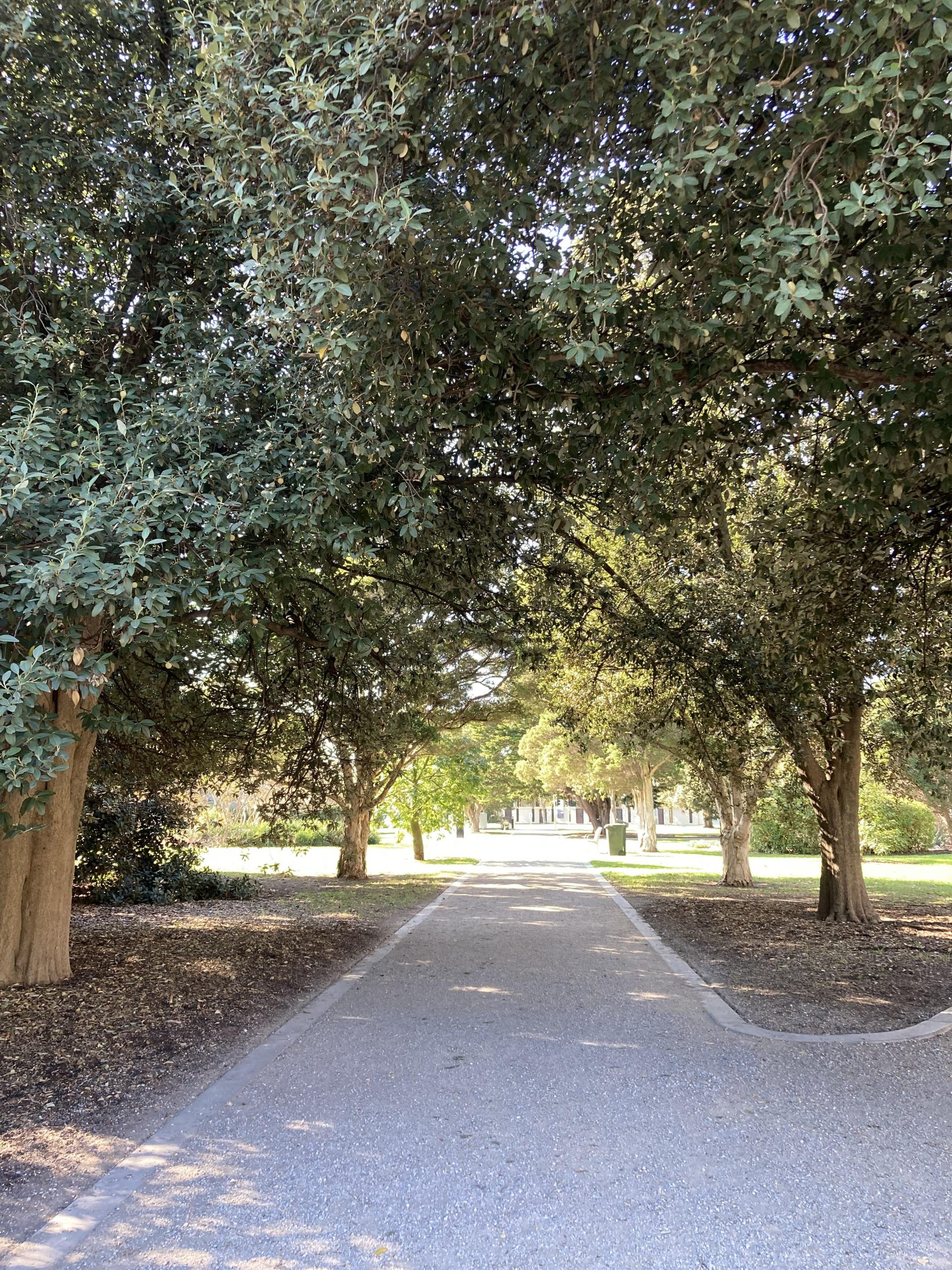 Song site 10 – All About Elwood - Elwood + St Kilda Neighbourhood ...